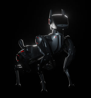 Hengbot Sirius AI Dog Robot